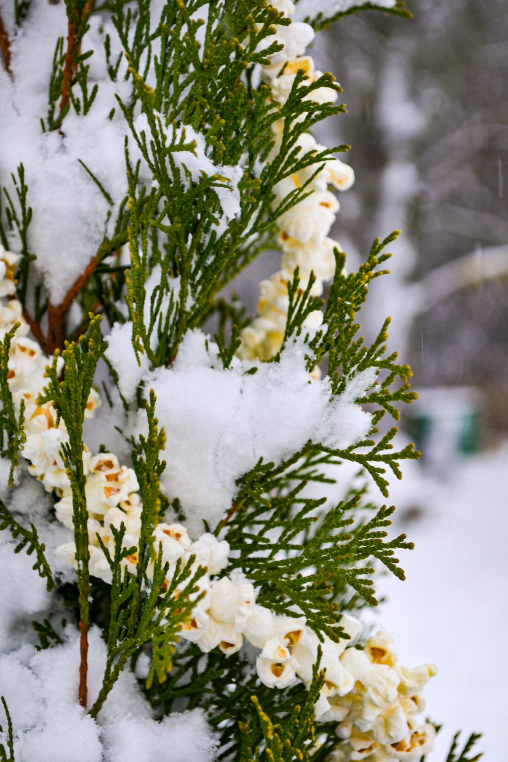 How to Make a Popcorn Garland - Little Home in the Making