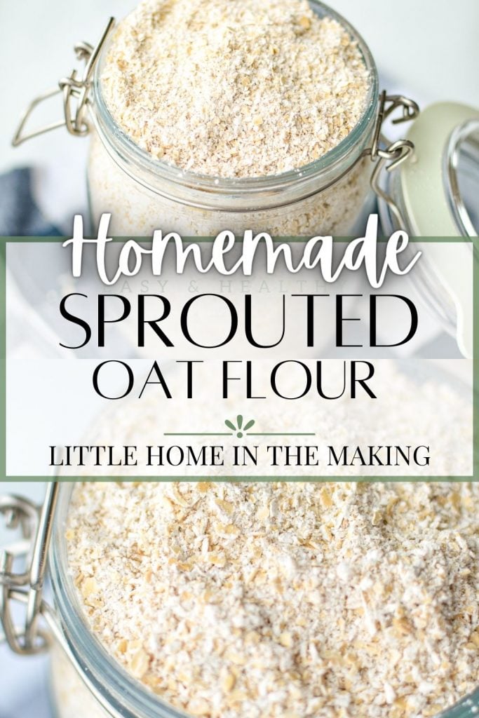 How to Make Sprouted Oat Flour - Little Home in the Making
