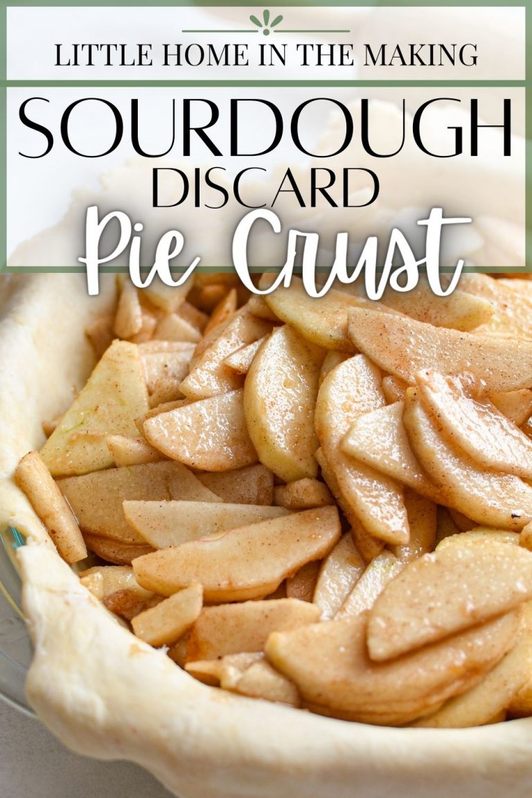 Sourdough Pie Crust - Little Home in the Making