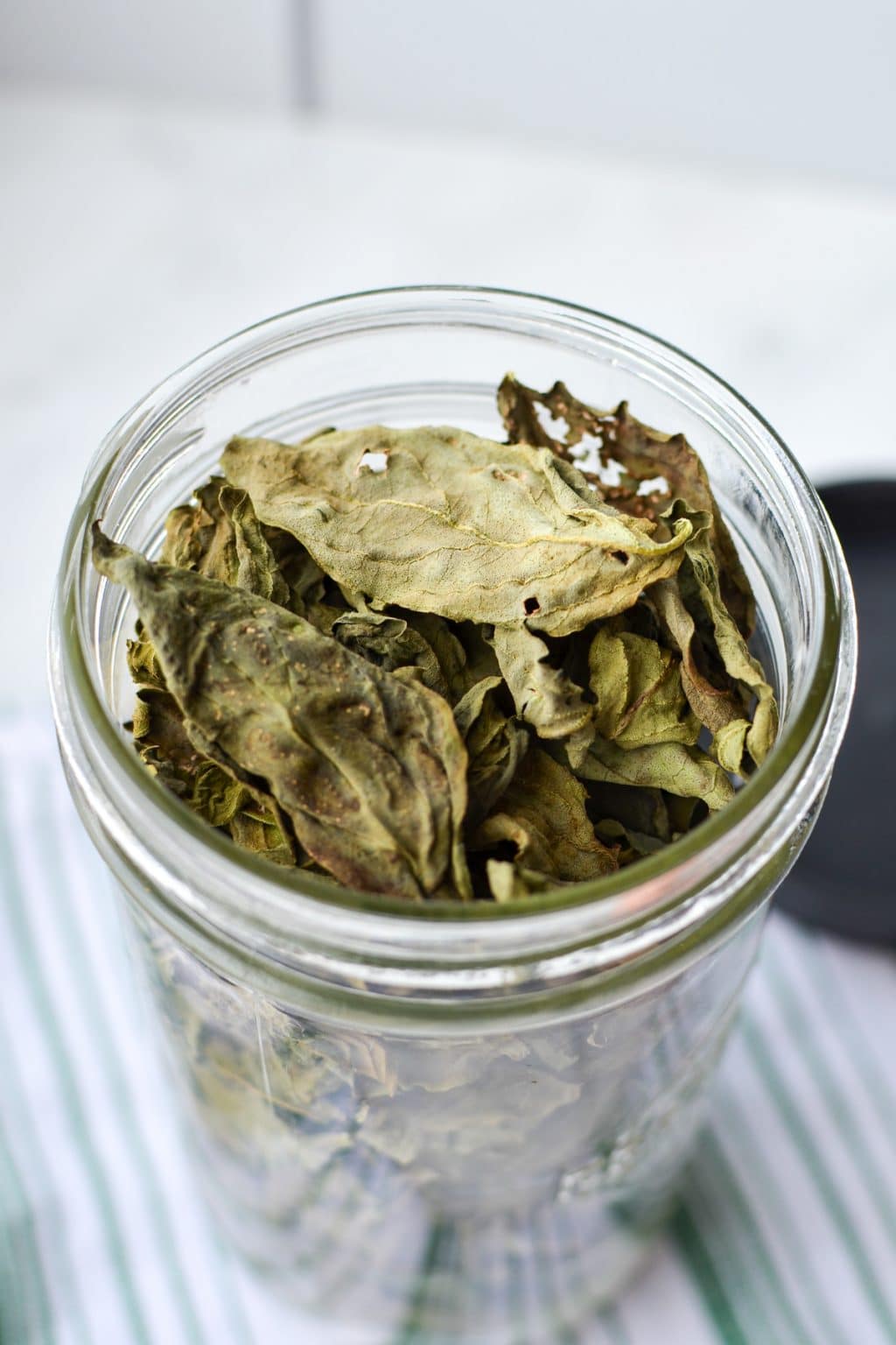 How to Dry Basil (Dehydrator or Oven) - Little Home in the Making