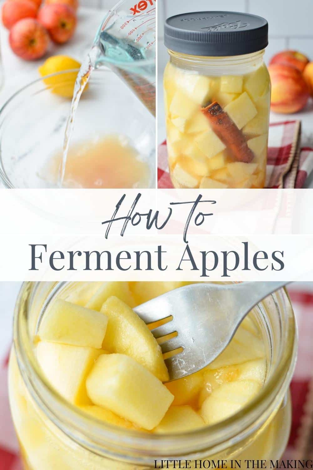 Easy Fermented Apples (Probiotic Rich) - Little Home in the Making