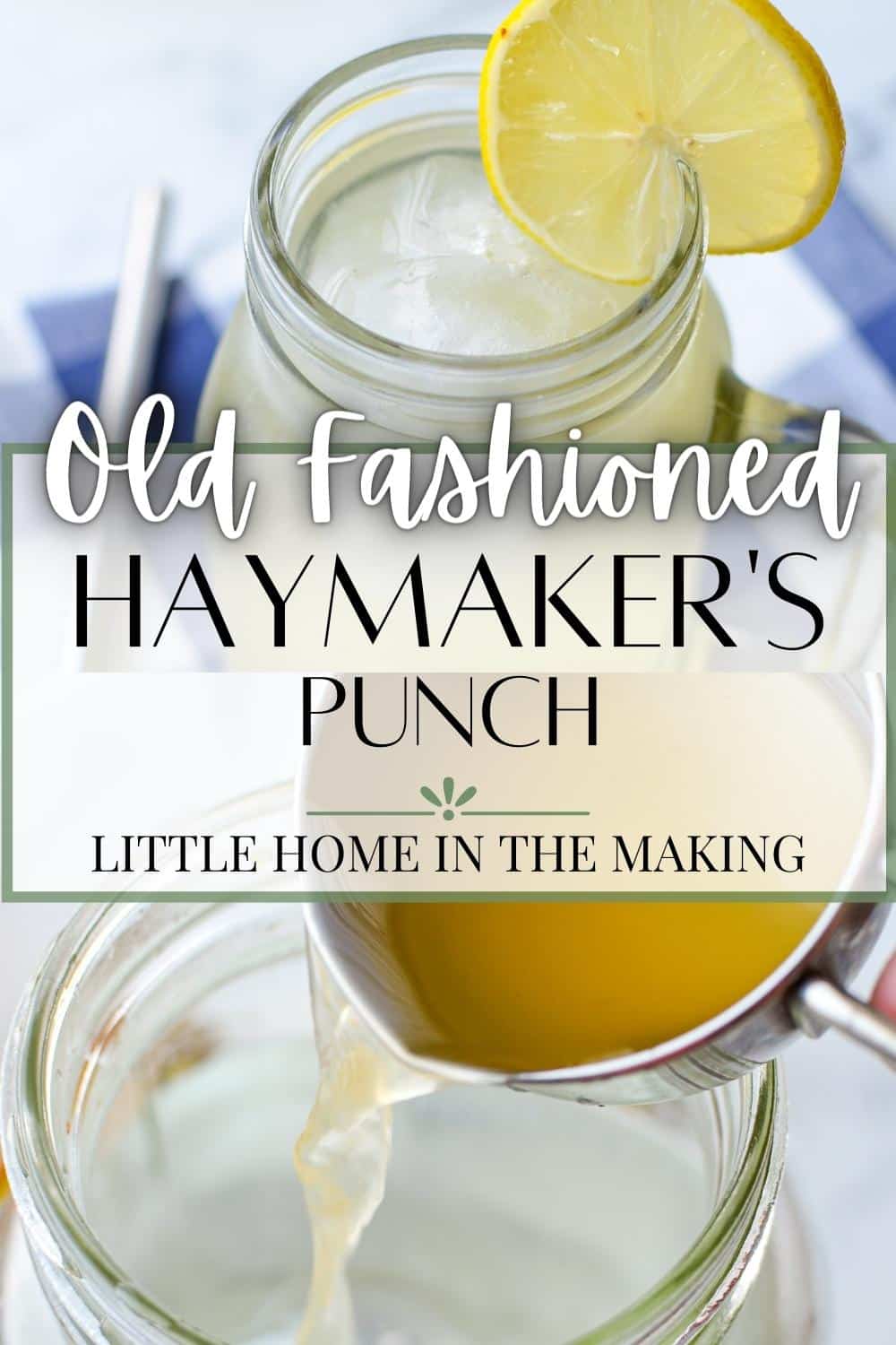 Haymaker's Punch (or Switchel) - Little Home in the Making
