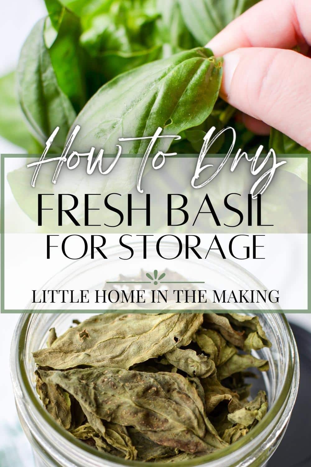 How to Dry Basil (Dehydrator or Oven) - Little Home in the Making