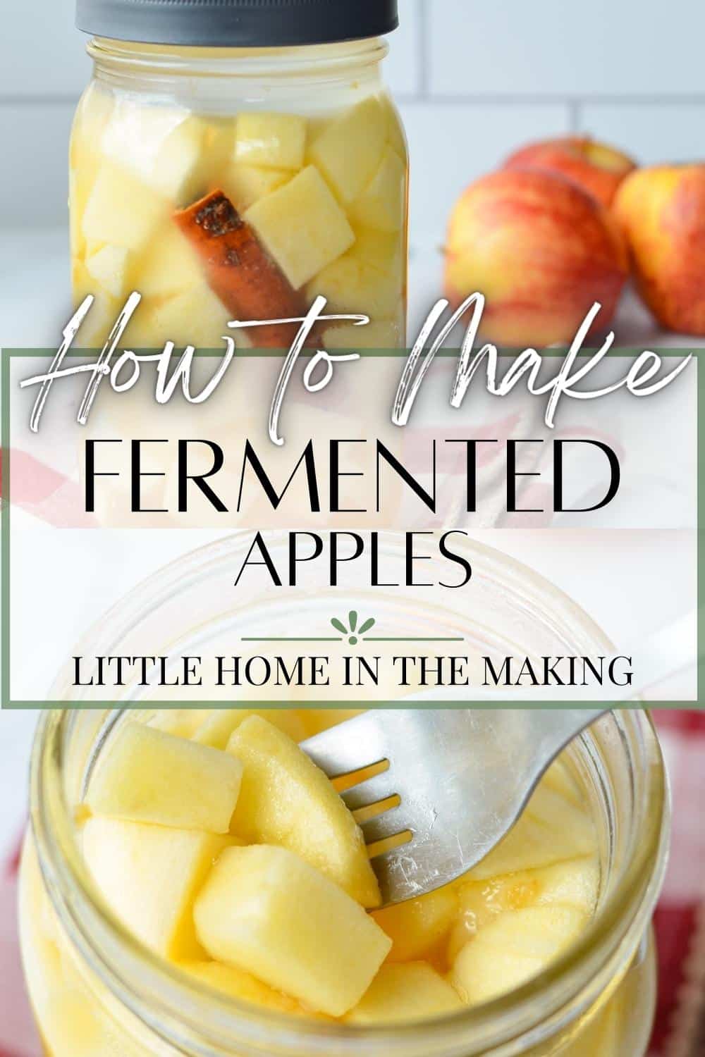 Easy Fermented Apples (Probiotic Rich) - Little Home in the Making
