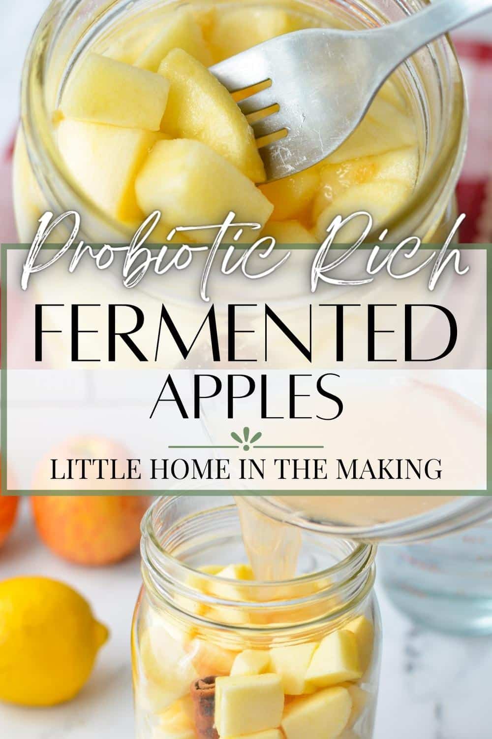 Easy Fermented Apples (Probiotic Rich) - Little Home in the Making