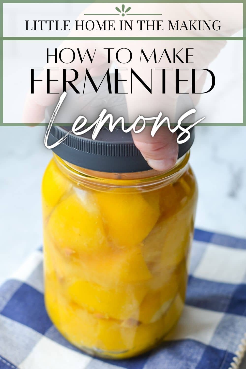 Fermented Lemons (Preserved Lemons) - Little Home in the Making