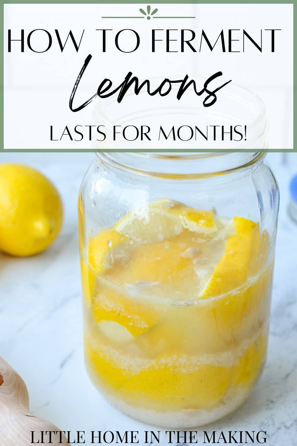 Fermented Lemons (Preserved Lemons) - Little Home in the Making