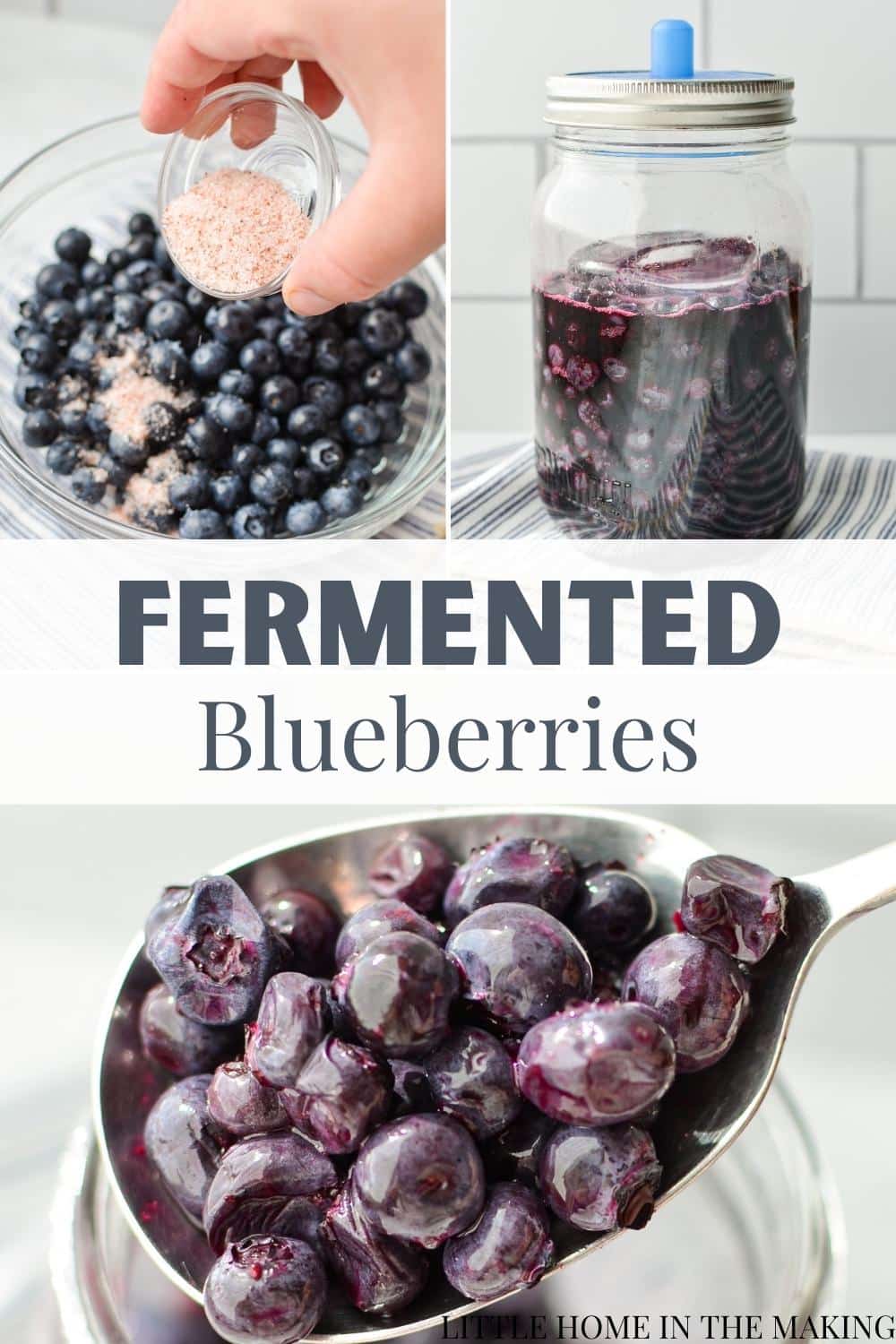 Fermented Blueberries - Little Home in the Making