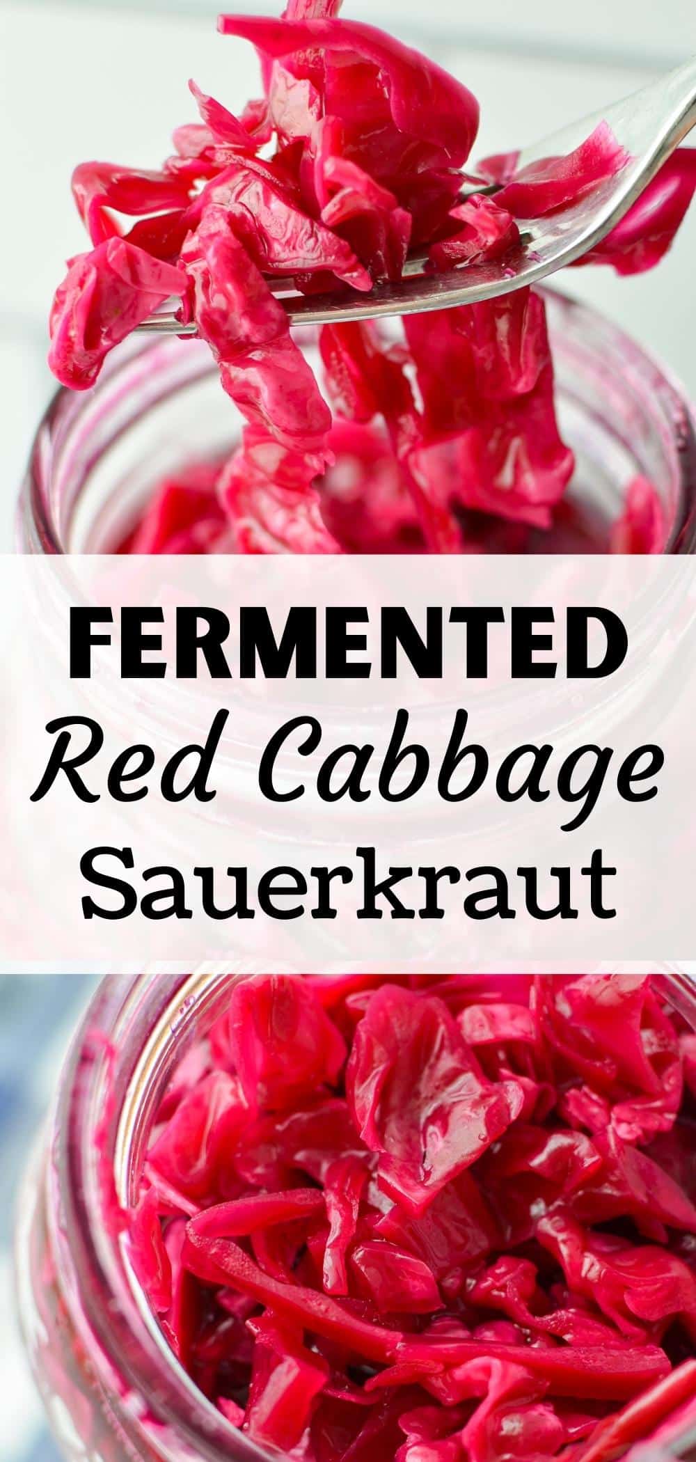 Fermented Red Cabbage (Sauerkraut) - Little Home in the Making