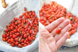 Rosehip Syrup - Little Home in the Making