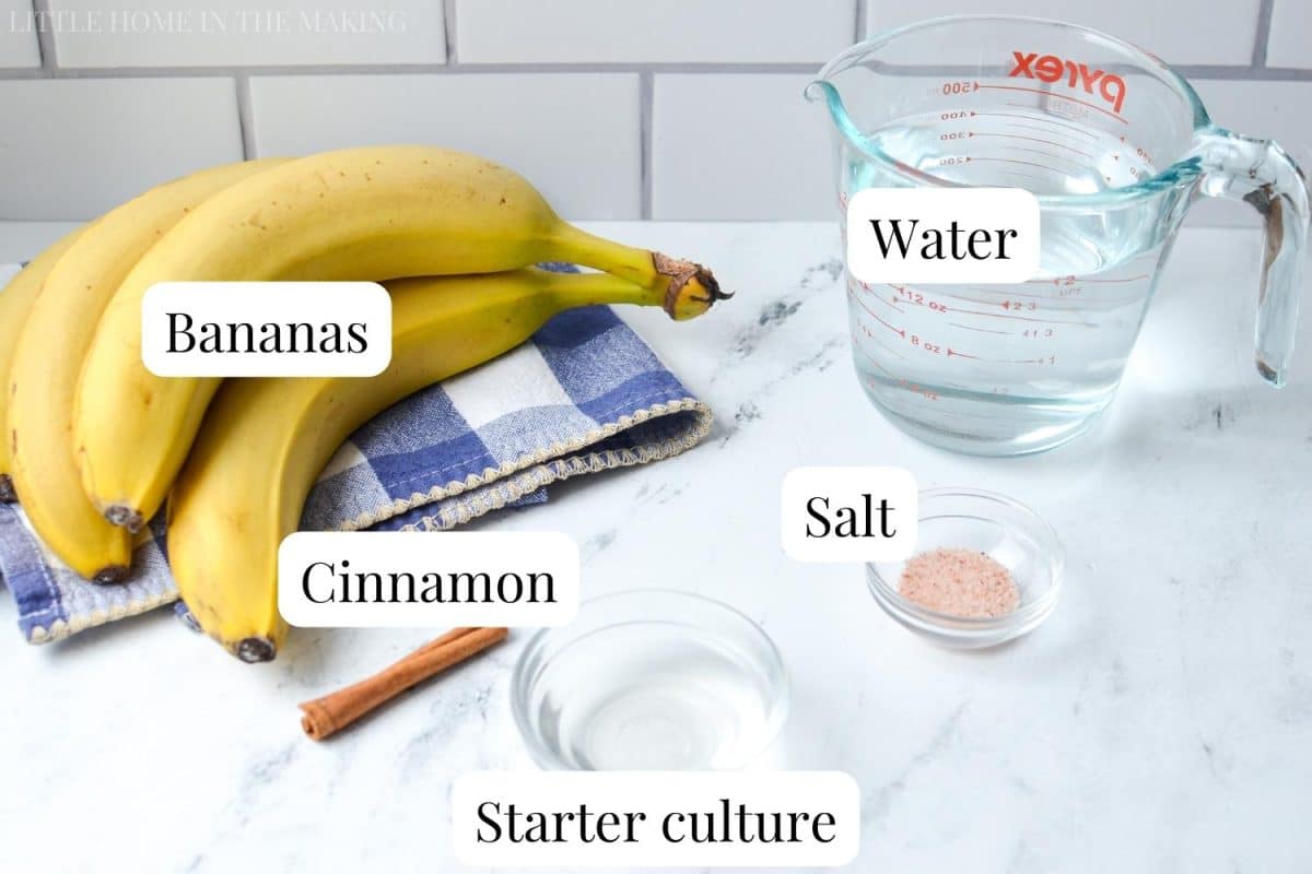 Easy Fermented Bananas - Little Home in the Making