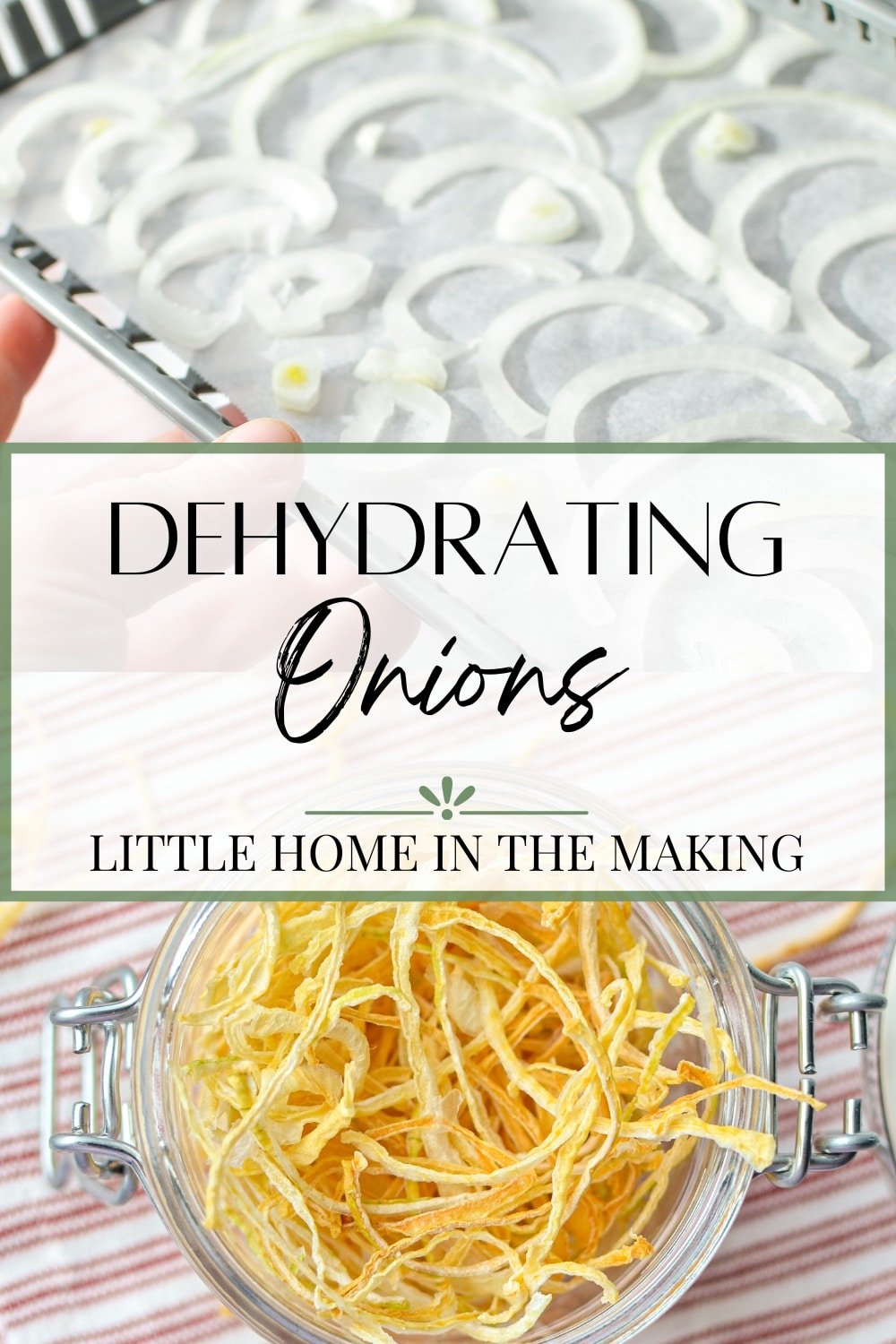 Dehydrating Onions (Complete Guide) - Little Home in the Making