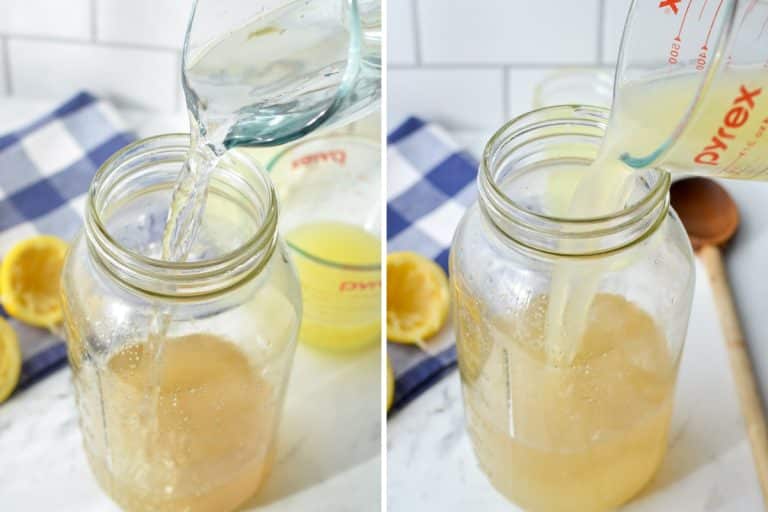 Fermented Lemonade (Whey Lemonade)