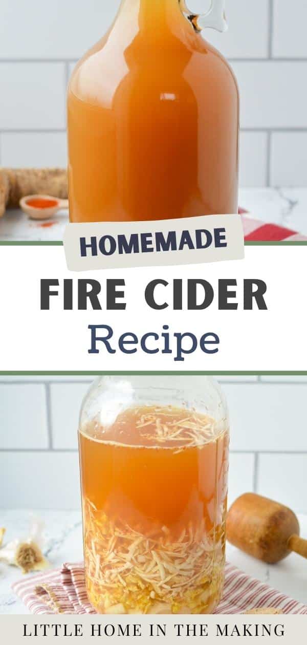 Homemade Fire Cider Recipe (Easy + Traditional)