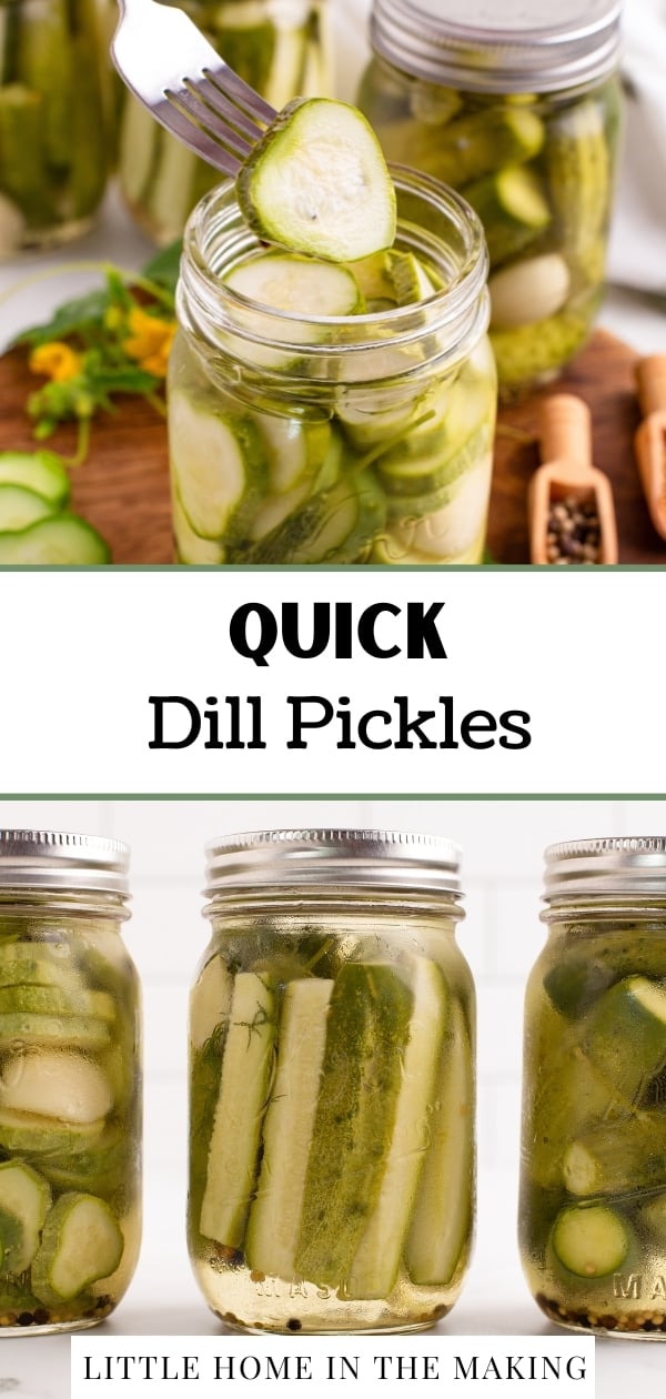 Homemade Refrigerator Dill Pickles Recipe