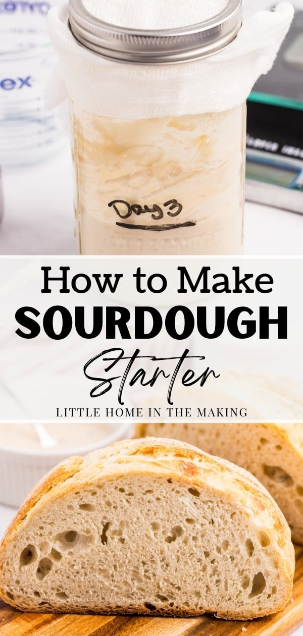 How to Make Sourdough Starter - Little Home in the Making